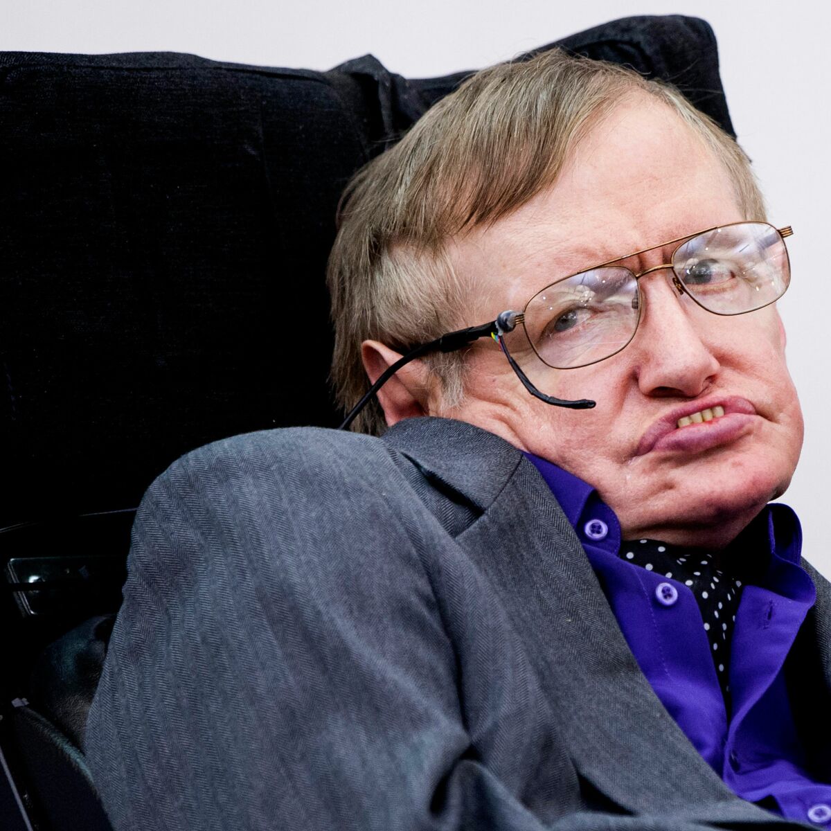 Portrait de Stephen Hawking : Du Big Bang aux trous noirs
